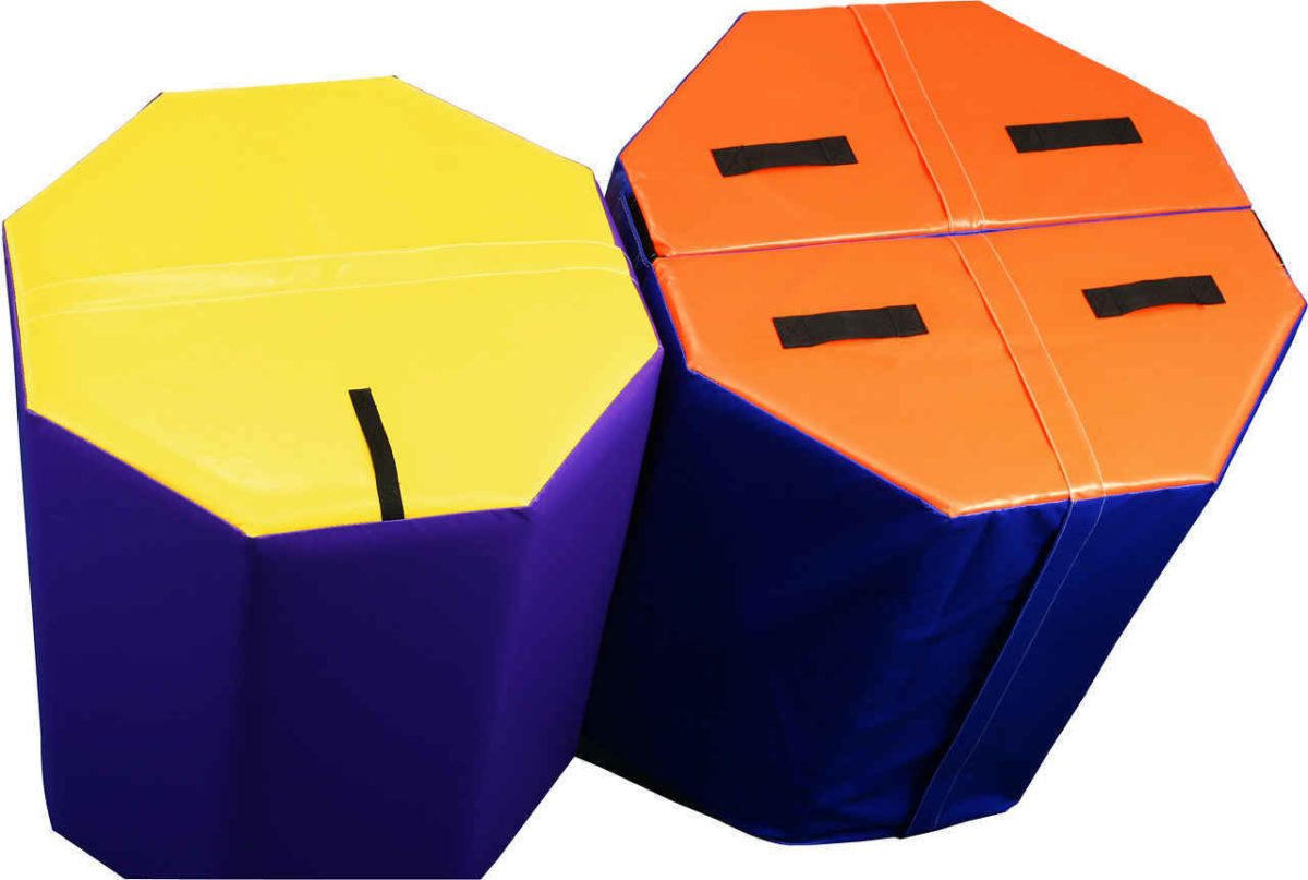 Octagonal Tumblers - American Gymnast and Ninja