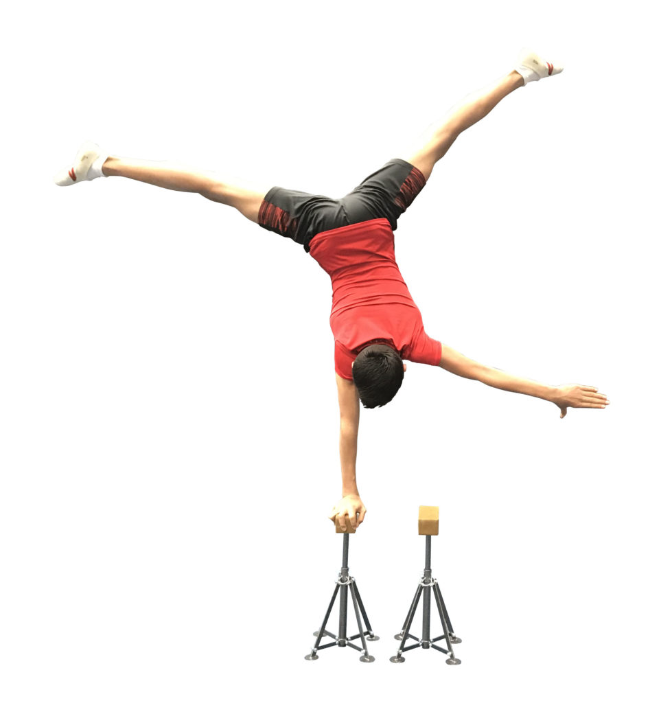 The Frog - American Gymnast and Ninja